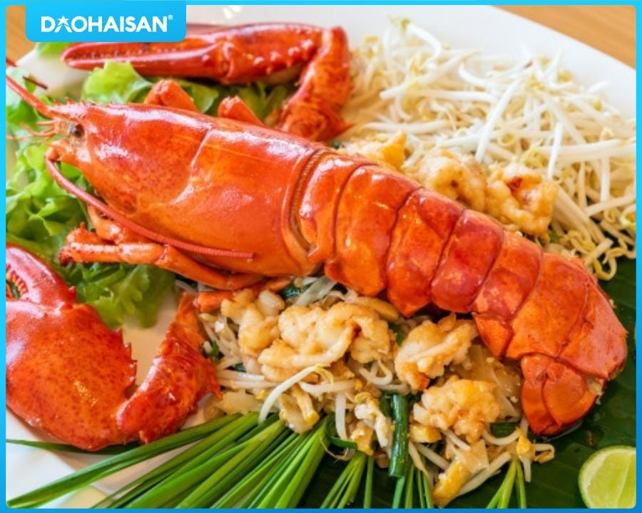 Ăn tôm hùm có tác dụng gì? 7 lợi ích từ tôm hùm biển – DAOHAISAN