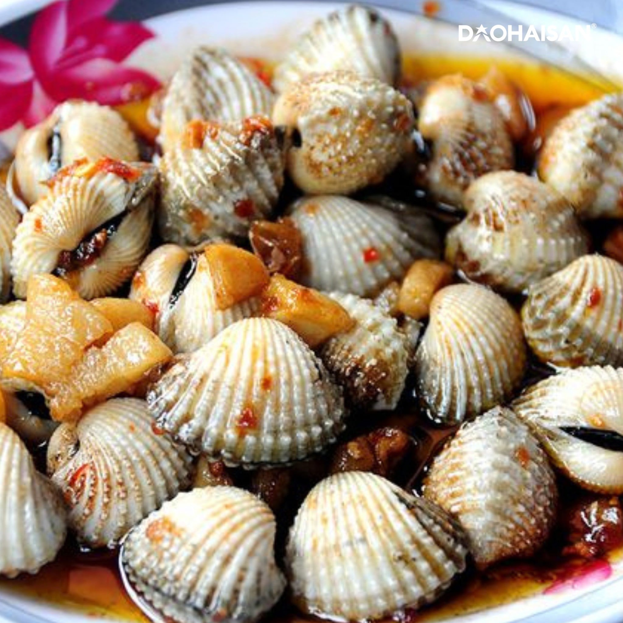 Sò huyết làm gì ngon? Tổng hợp 8 cách chế biến sò huyết – DAOHAISAN