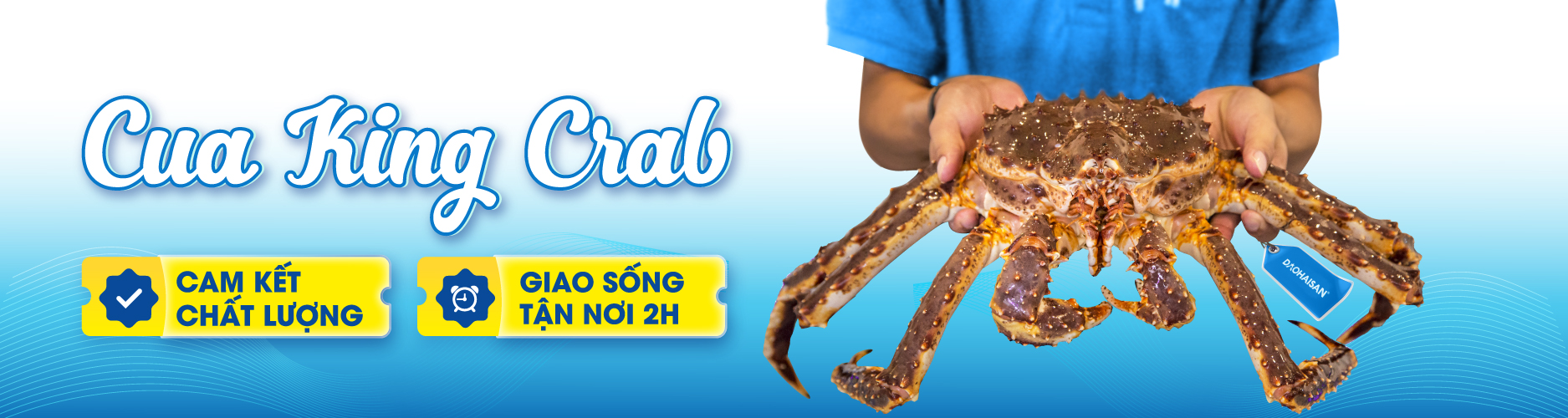 CUA KING CRAB VUA CUA THẾ GIỚI – DAOHAISAN