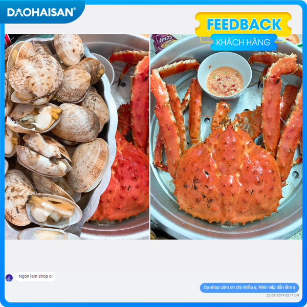 Cua Hoàng Đế Alaska - Cua KingCrab - Giao Sống Trong 2H – DAOHAISAN