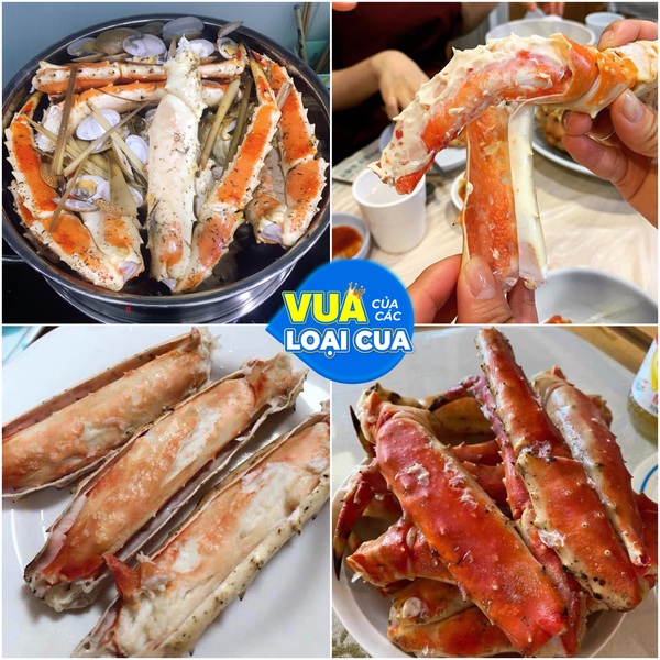 Cua Hoàng Đế Alaska - Cua KingCrab - Giao Sống Trong 2H – DAOHAISAN