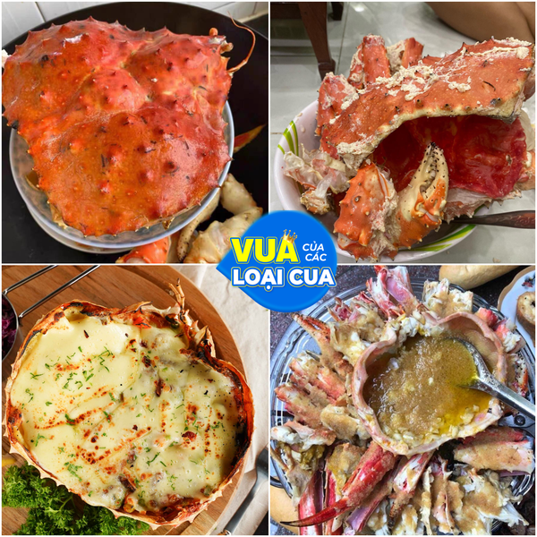 Cua Hoàng Đế Alaska - Cua KingCrab - Giao Sống Trong 2H – DAOHAISAN