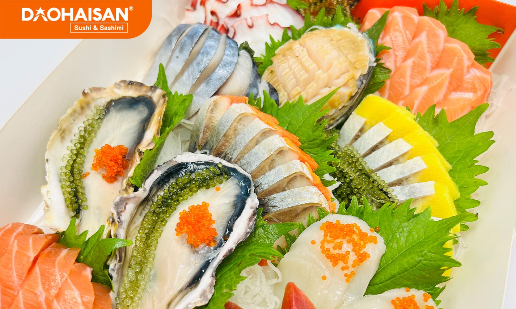 Combo Sashimi Special 10B: "10 Loại Hải Sản Tươi Ngon" Chuẩn vị Nhật ...