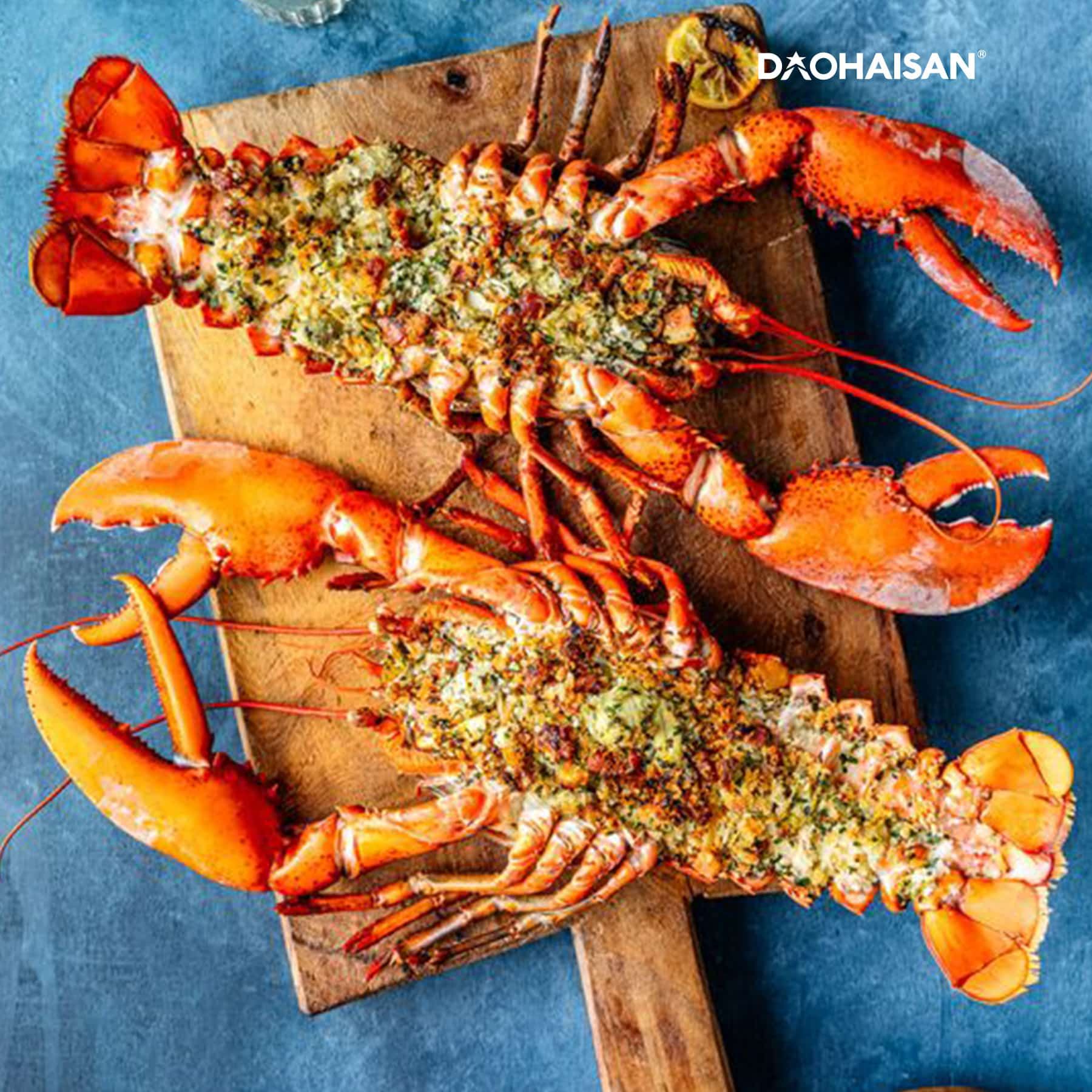 Tôm Hùm Alaska giá cập nhật MỚI | Giao hàng nhanh trong 2H – DAOHAISAN