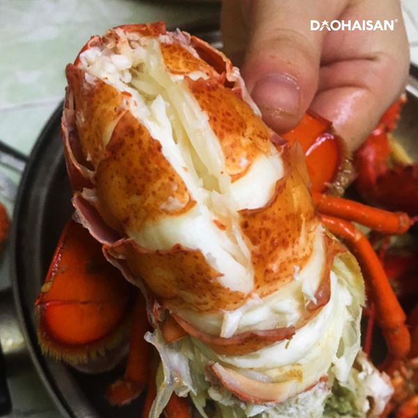 Tôm Hùm Alaska giá cập nhật MỚI | Giao hàng nhanh trong 2H – DAOHAISAN