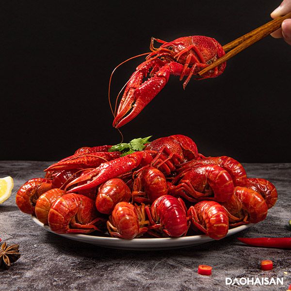 Crawfish Chín/Tôm Hùm Đất - Giao Nhanh Trong 2H – DAOHAISAN