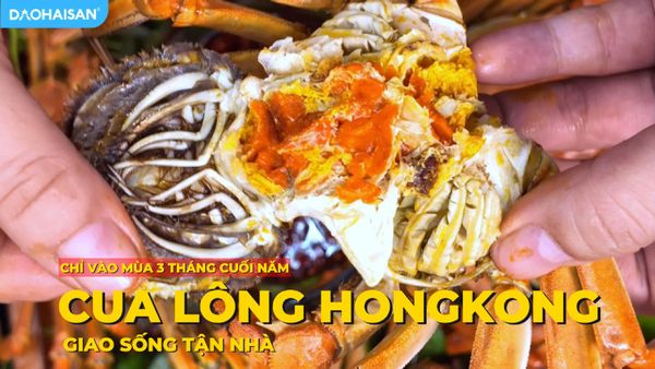 Cua Lông Hong Kong – DAOHAISAN
