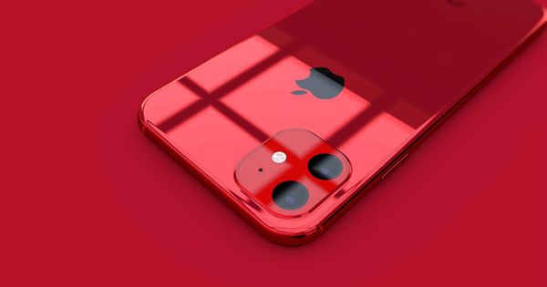 iPhone XR2 có thể là smartphone pin 'trâu' nhất của Apple