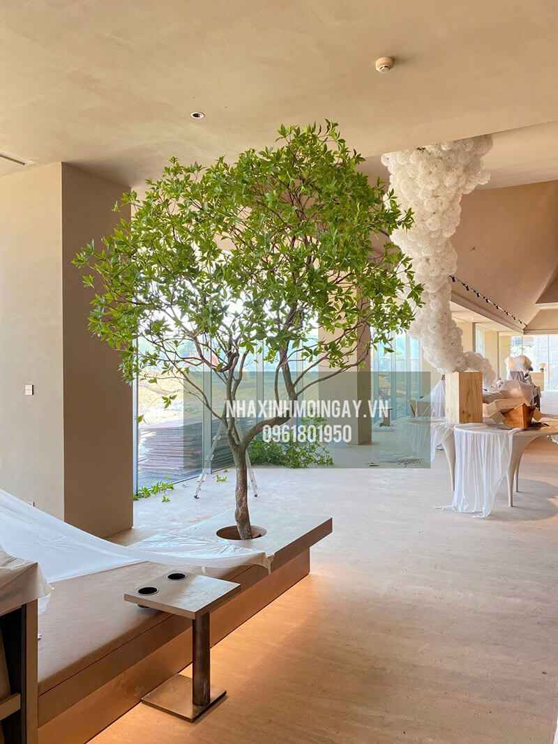 CÂY ASEBI GIẢ TRANG TRÍ – NÂNG TẦM KHÔNG GIAN SỐNG– Nhà Xinh Mỗi Ngày ...