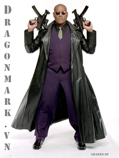 06 CHIẾC ÁO DA ĐÌNH ĐÁM ĐẾN TỪ HOLLYWOOD - DragonMark