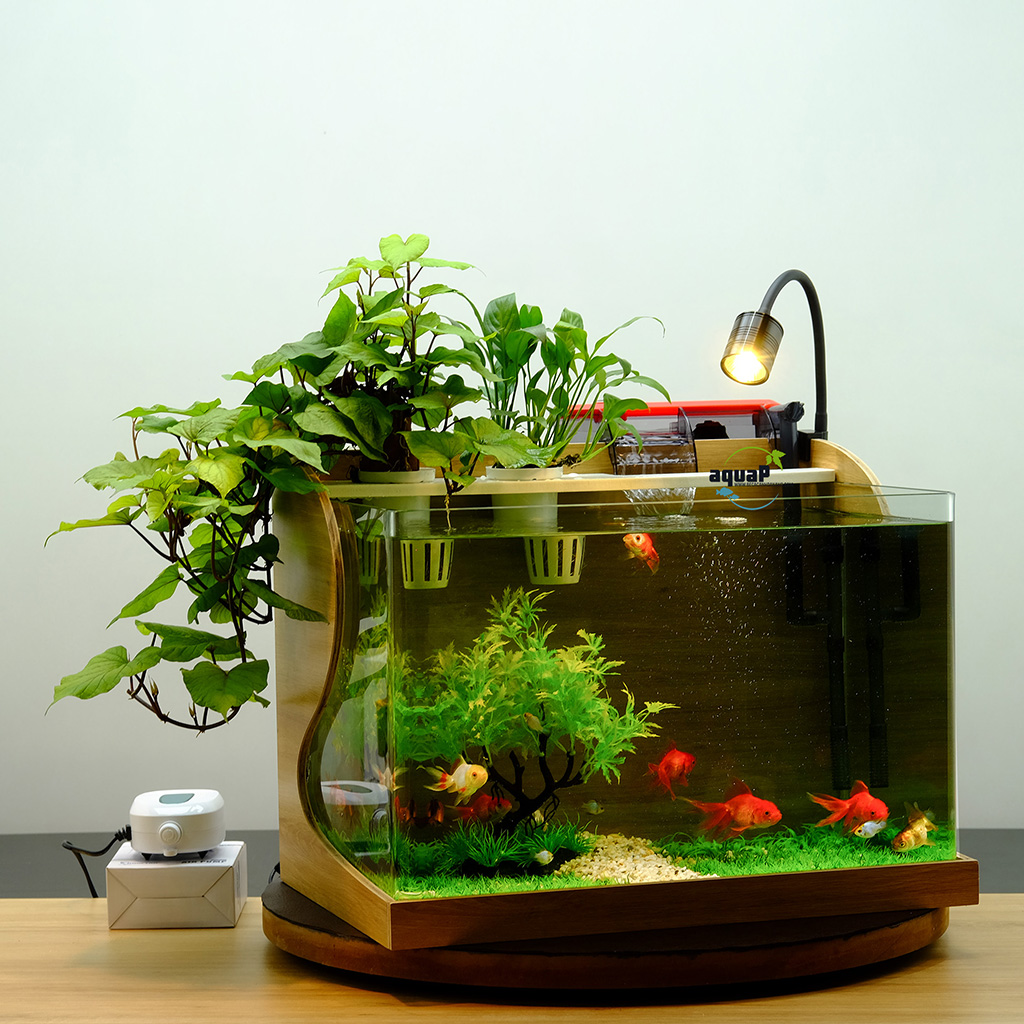 BỂ CÁ ĐỂ BÀN CAO CẤP AQUAP - THIẾT KẾ SẴN TRỌN BỘ– AQUAP FUNITURE