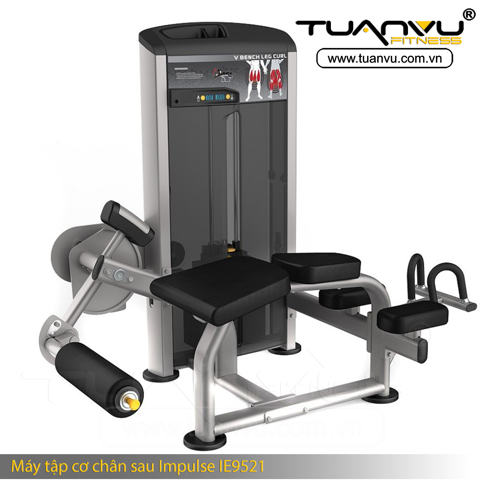 IE95 – Tuấn Vũ Sport