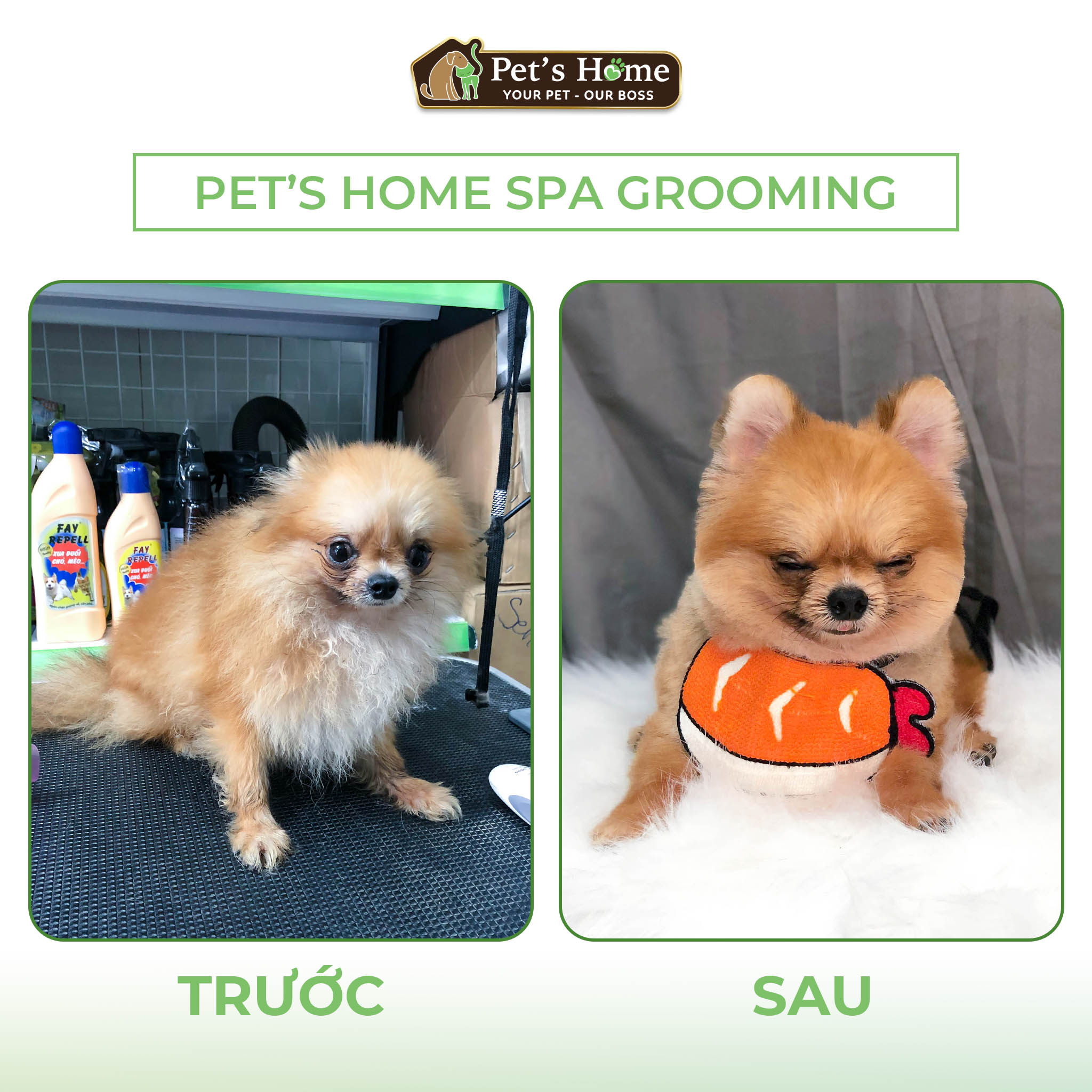 Pet's Home Spa Grooming