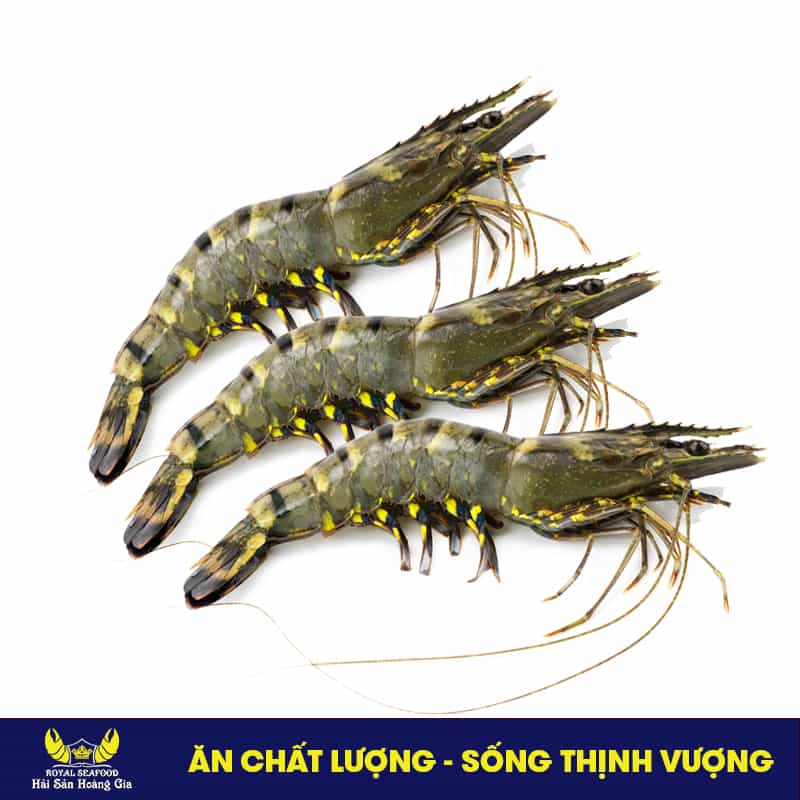 3 Món Ăn Từ Tôm Sú Vừa Lạ Vừa Ngon Đãi Gia Đình Bạn