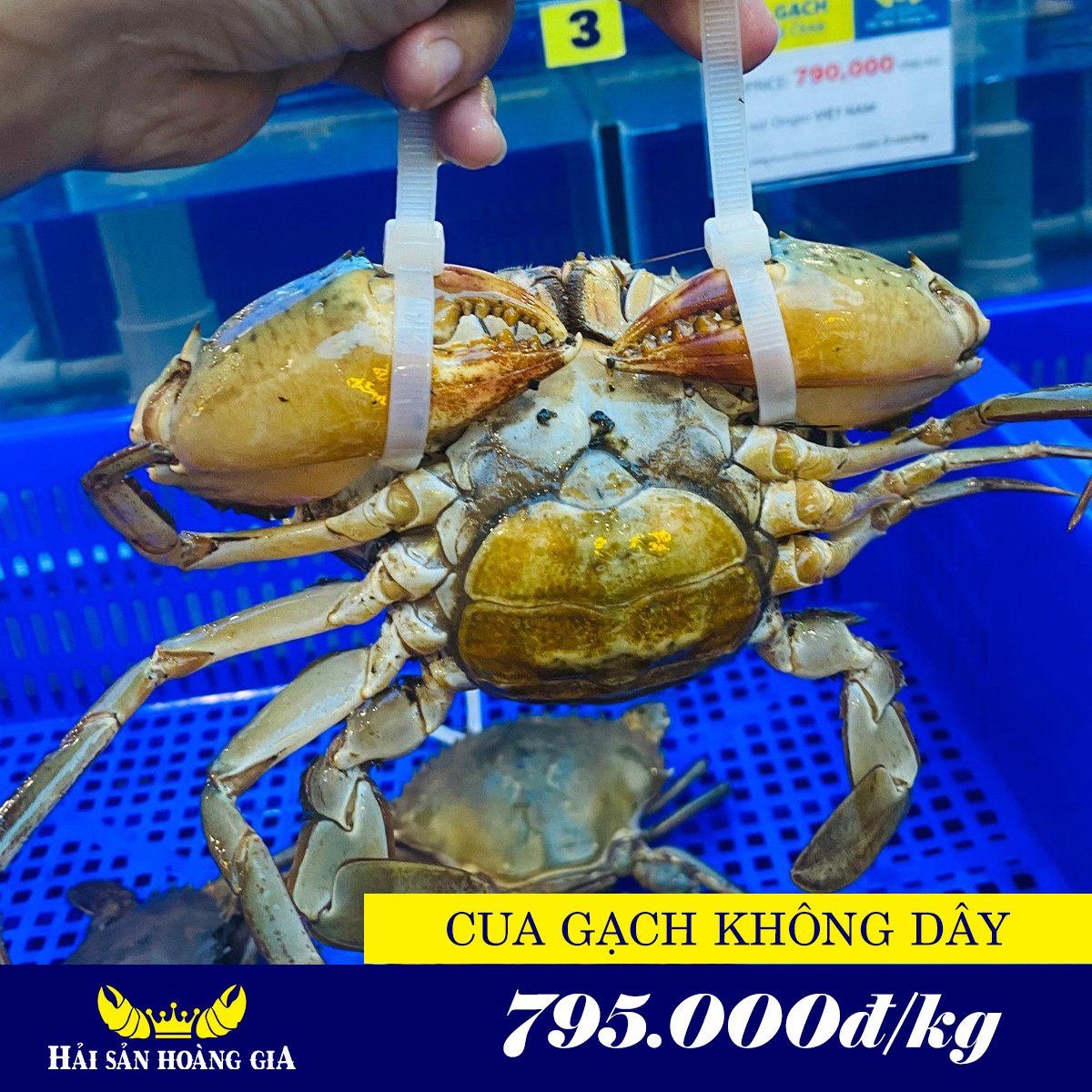 Cua Ghẹ - Hải Sản Hoàng Gia