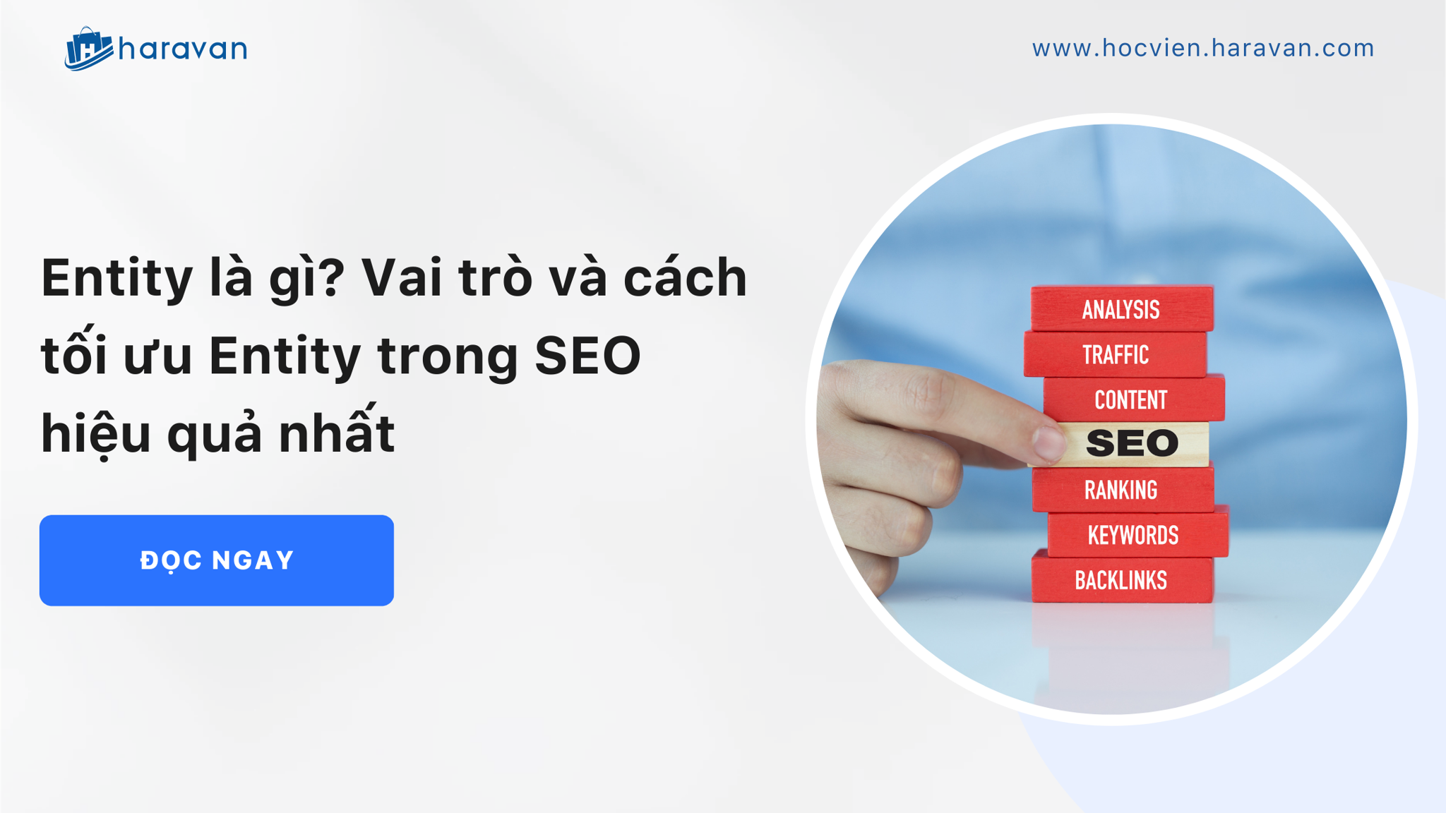 Entity là gì? Vai trò và cách tối ưu Entity trong SEO hiệu quả nhất