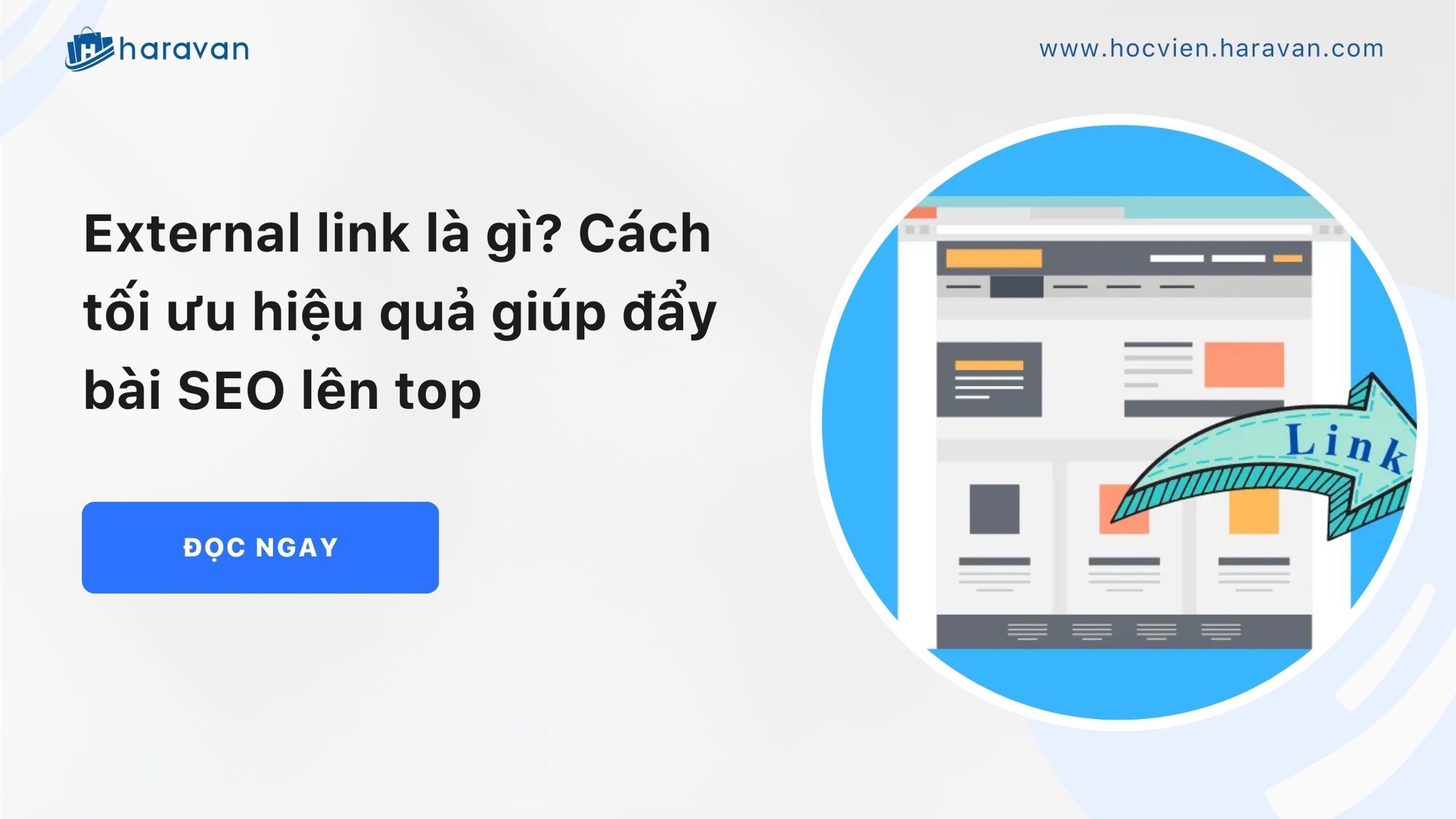 External link là gì? Cách tối ưu hiệu quả giúp đẩy bài SEO lên top