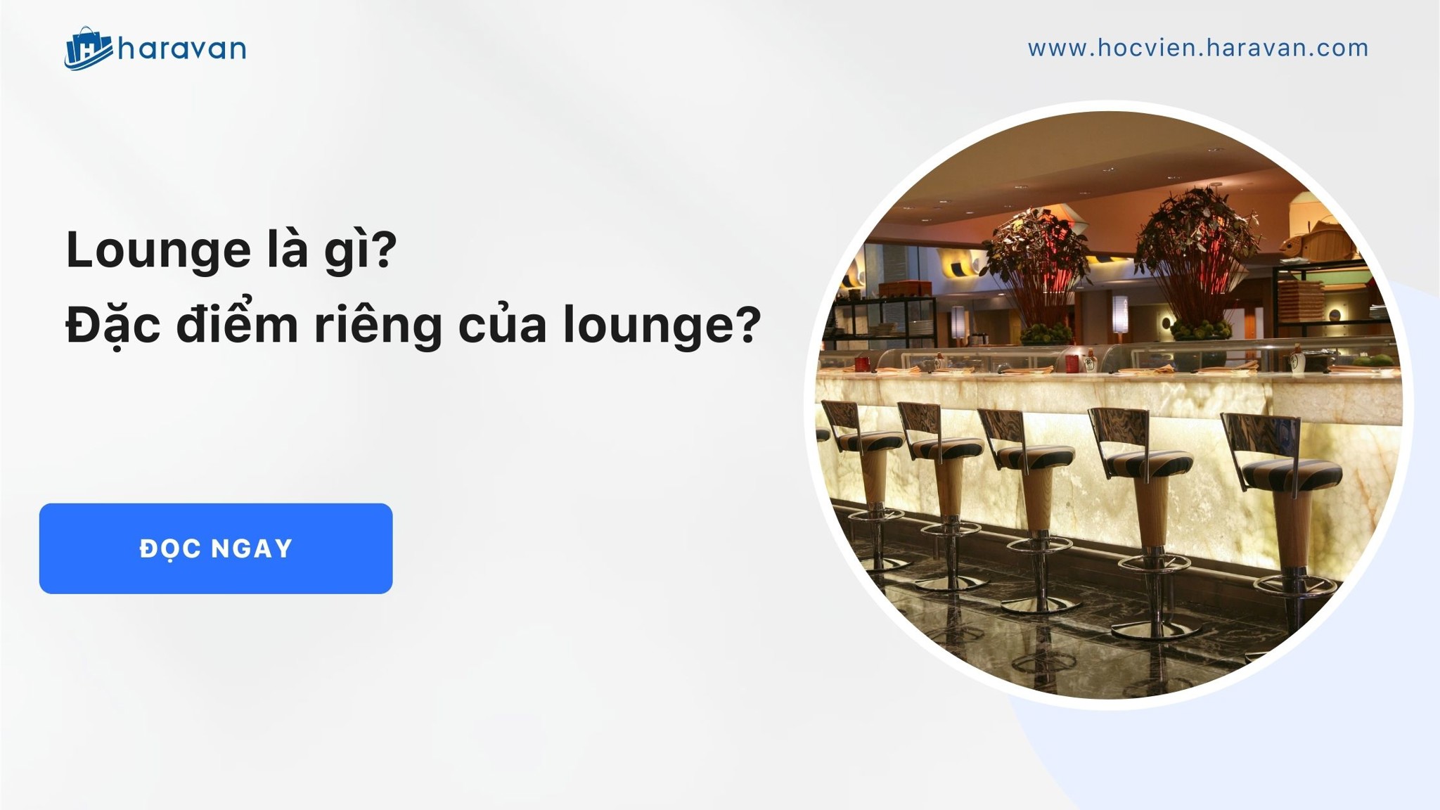 Lounge là gì? Đặc điểm riêng của lounge?