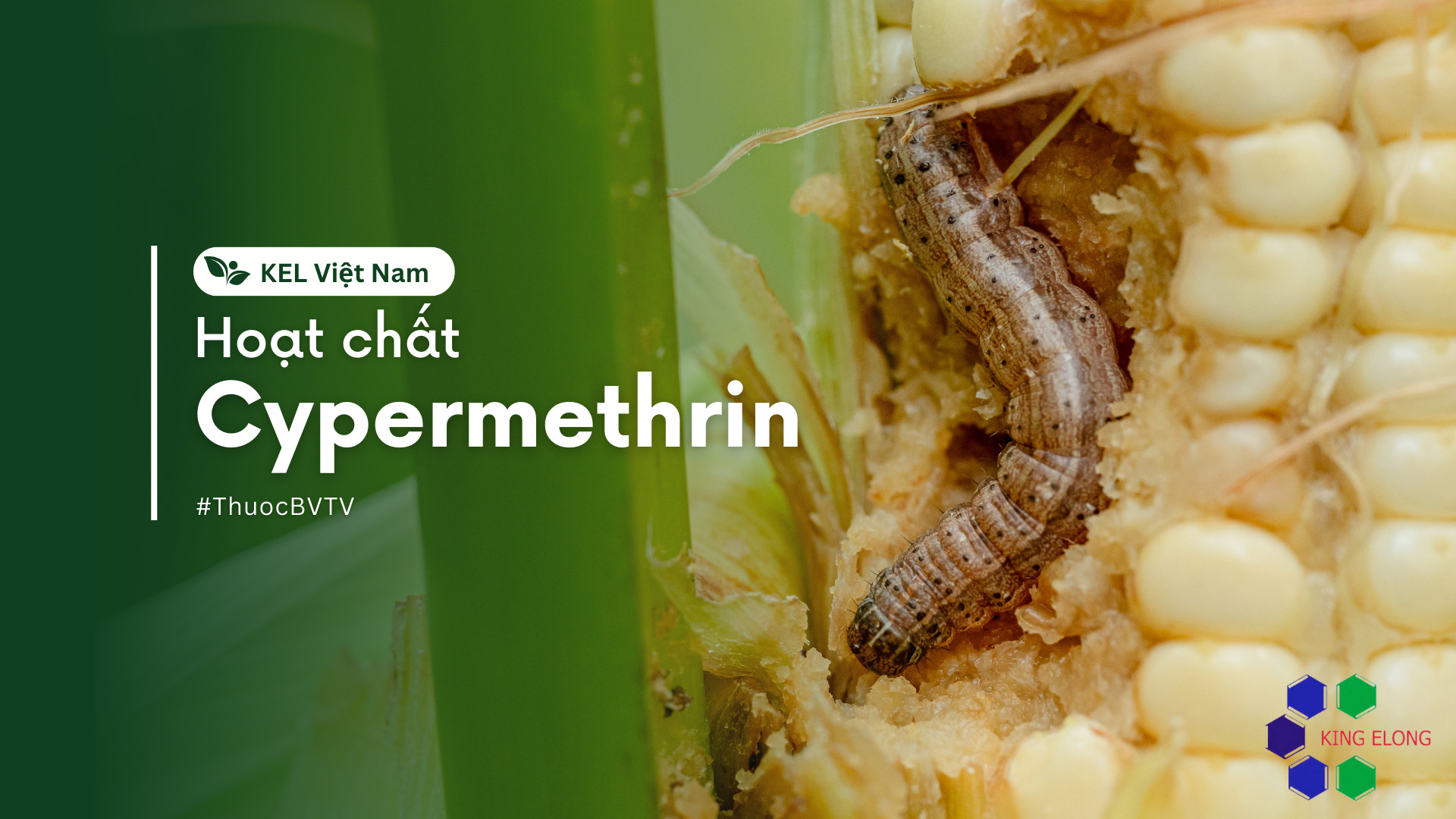 Hoạt chất Cypermethrin – Kingelong Việt Nam