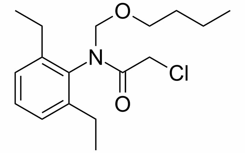 BUTACHLOR 95%TC – Kingelong Việt Nam