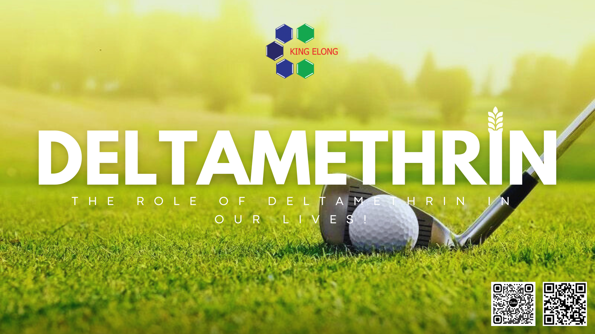 THE ROLE OF DELTAMETHRIN IN OUR LIVES! – Kingelong Việt Nam