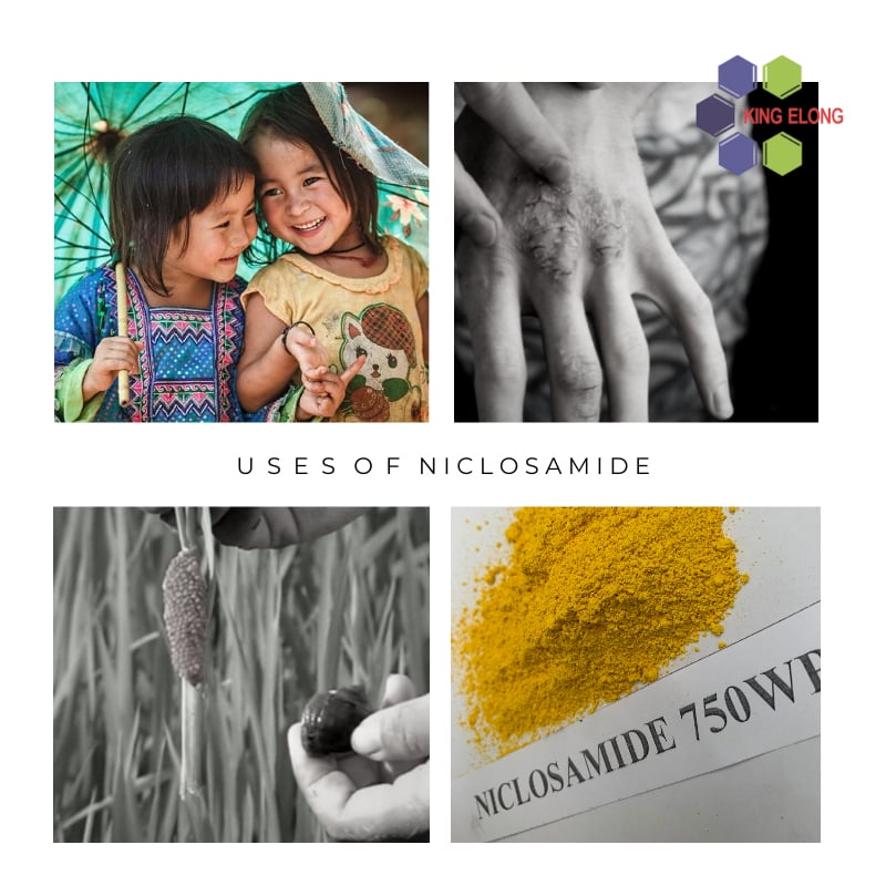 Niclosamide – Molluscicide – Kingelong Việt Nam