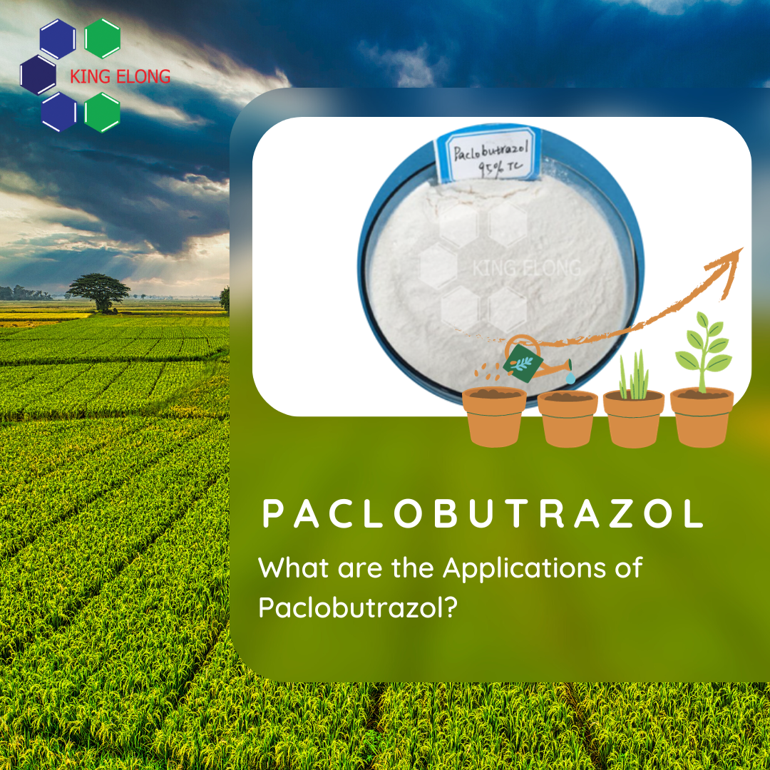 What are the Applications of Paclobutrazol? – Kingelong Việt Nam