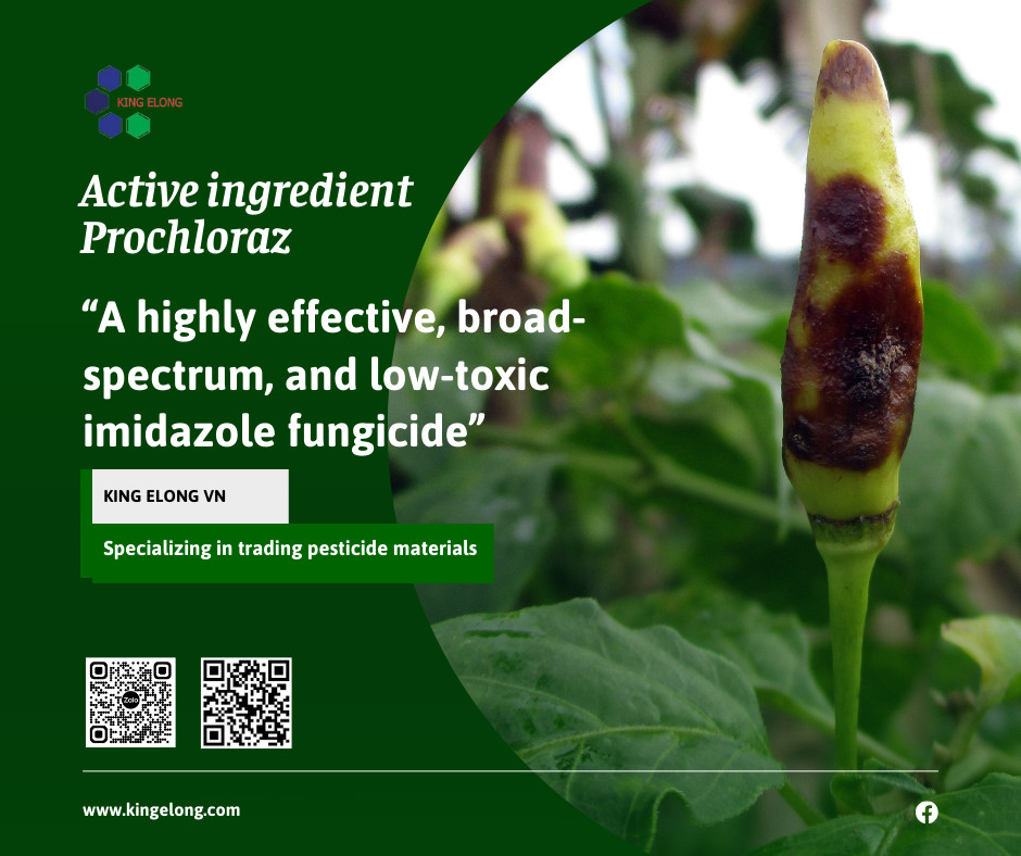 ACTIVE INGREDIENT PROCHLORAZ – Kingelong Việt Nam