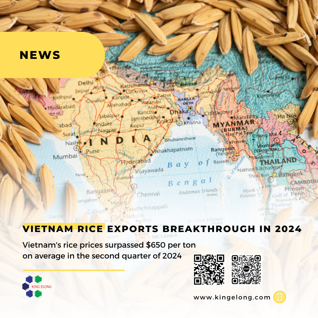 Vietnam rice exports breakthrough in 2024 – Kingelong Việt Nam