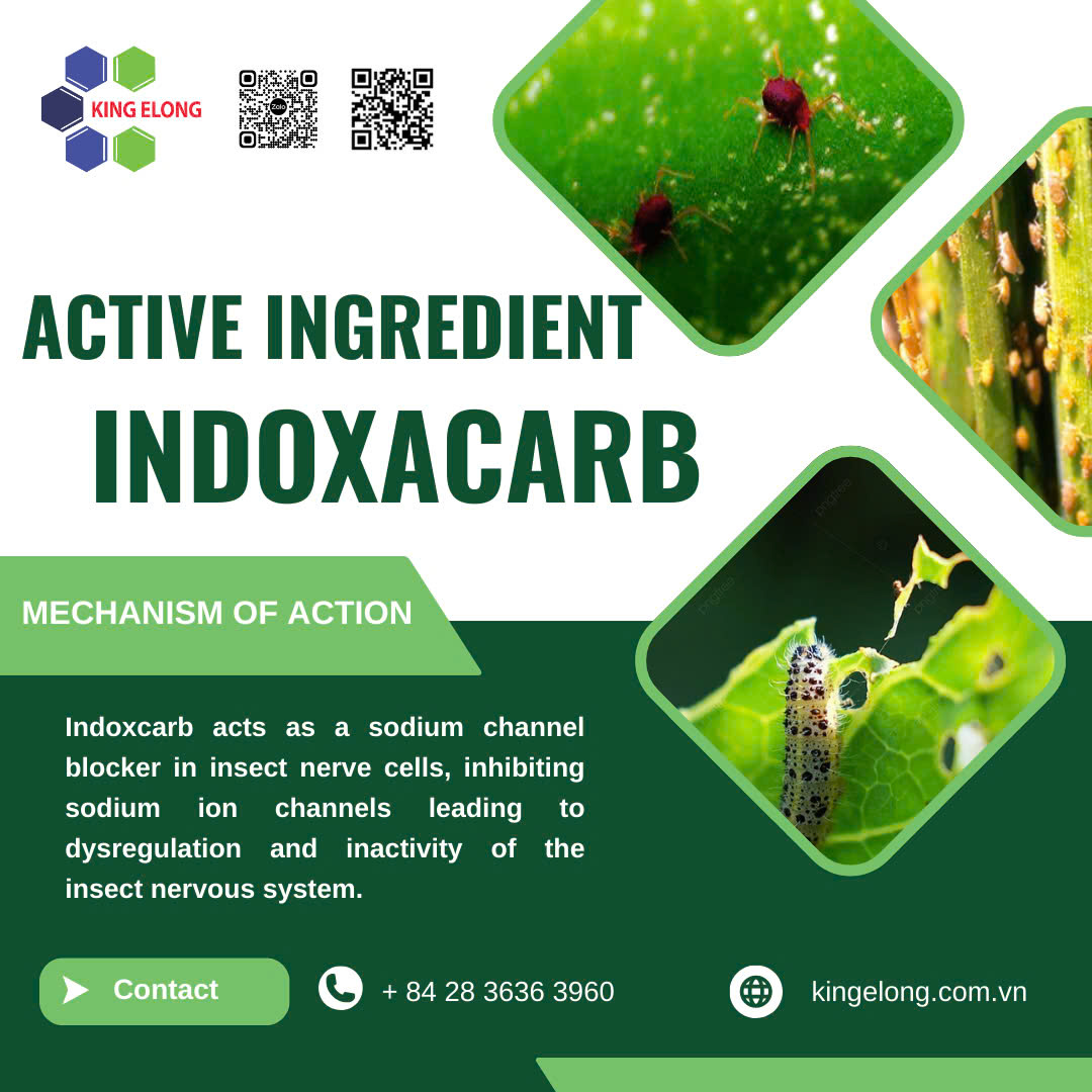 The Active Ingredient Indoxacarb – Kingelong Việt Nam
