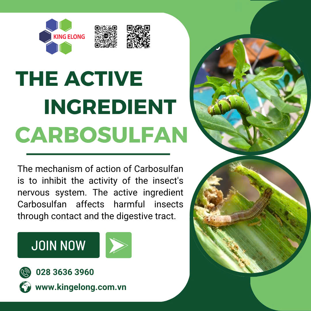 The Active Ingredient Carbosulfan – Kingelong Việt Nam