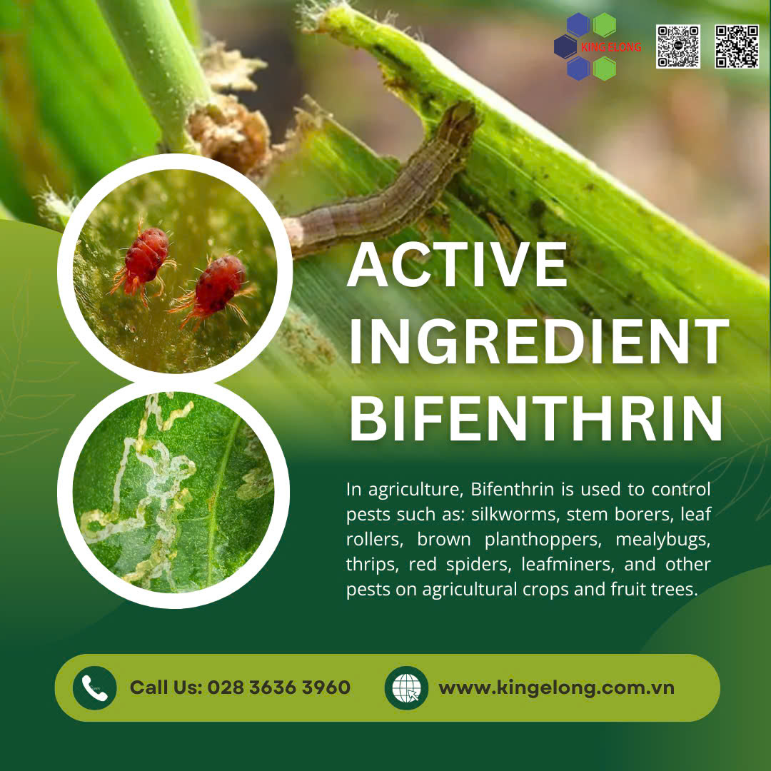 The Active Ingredient Bifenthrin: Effective Solution For Pest Control ...