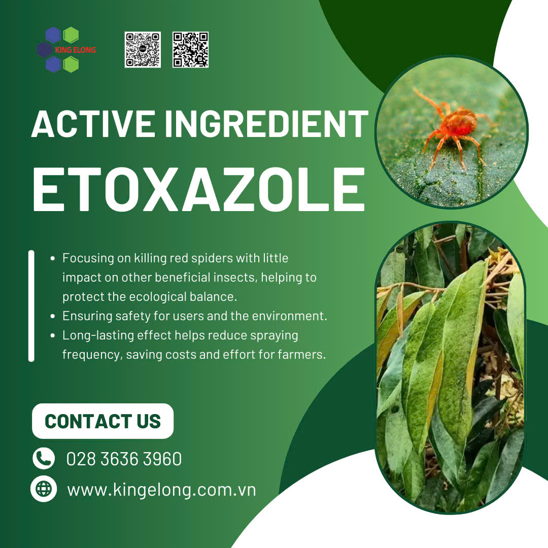 Etoxazole: A powerful weapon against red spider! – Kingelong Việt Nam