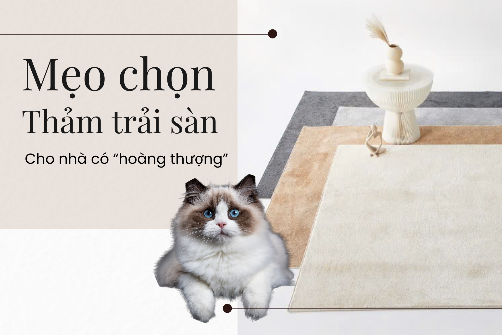 Mẹo chọn thảm trải sàn cho nhà có hoàng thượng