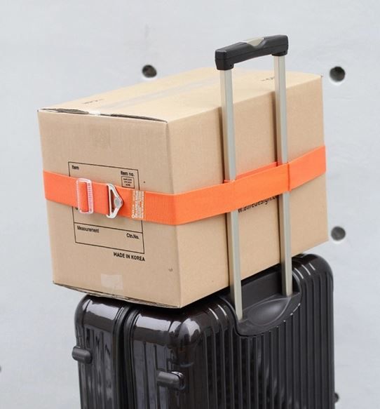 DÂY ĐAI VALI CO GIÃN HOLLY - OutDoorGear