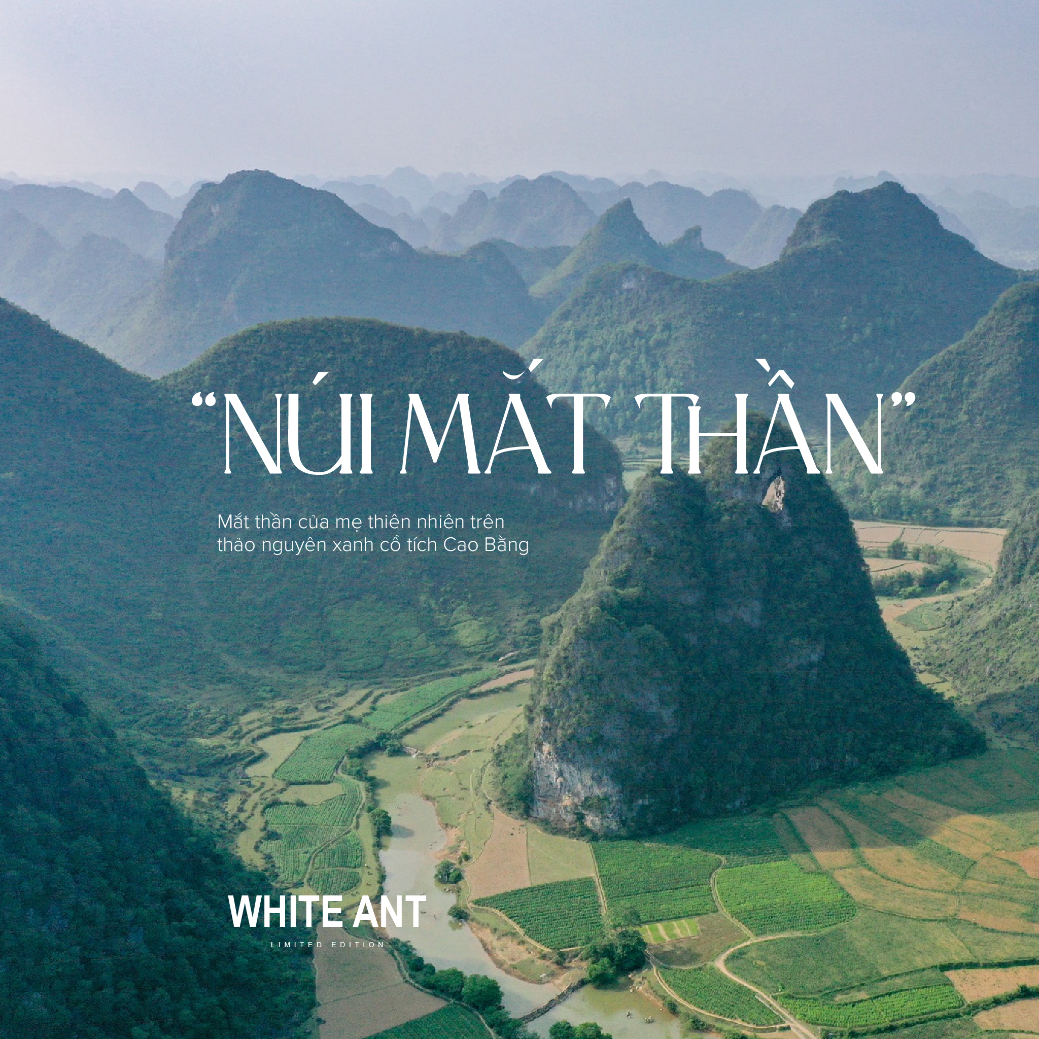 VÒNG TRÒN PRE-FALL COLLECTION 2023 : “NÚI MẮT THẦN” – WHITE ANT