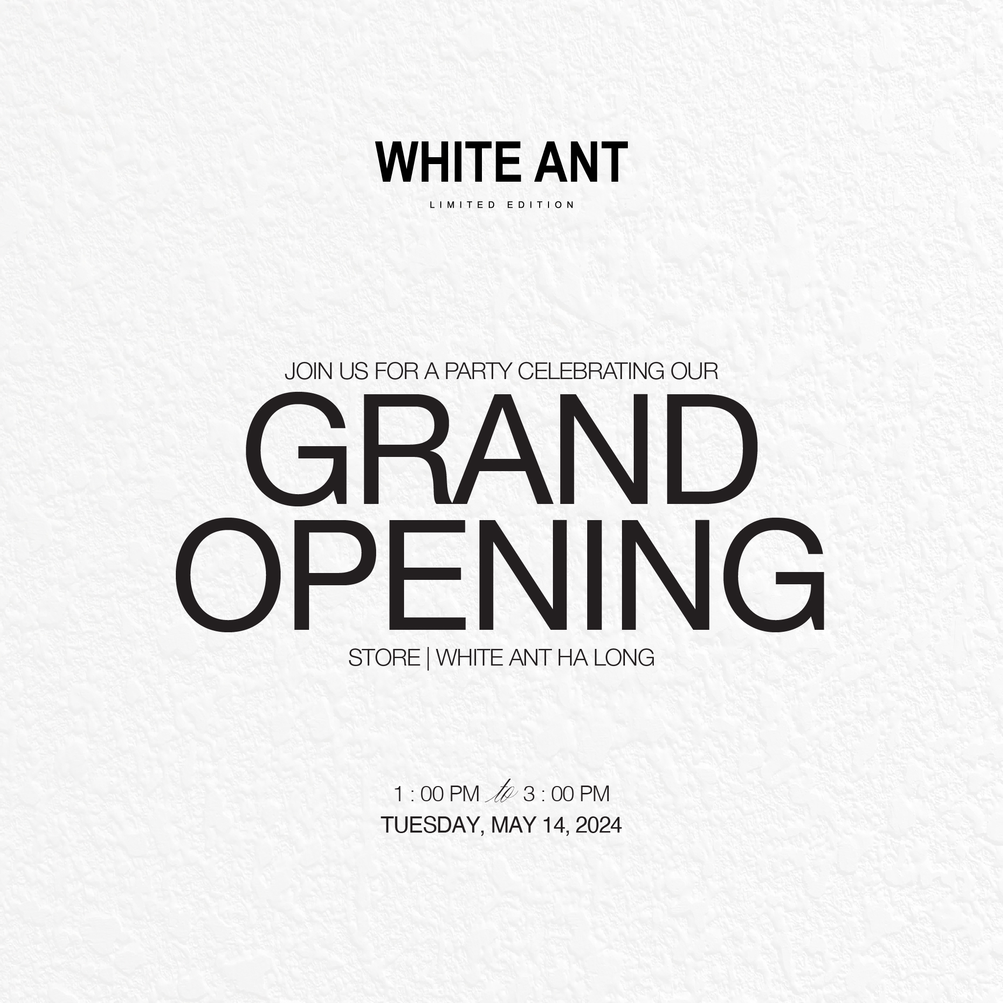 GRAND OPENING WHITE ANT HẠ LONG 14.05.2024