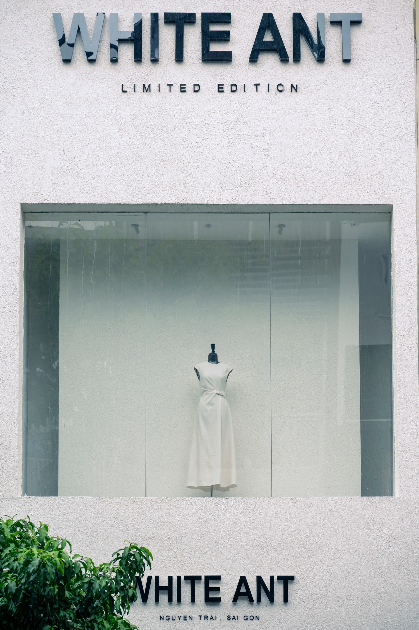 Now in store I Flagship Store WHITE ANT Hồ Chí Minh