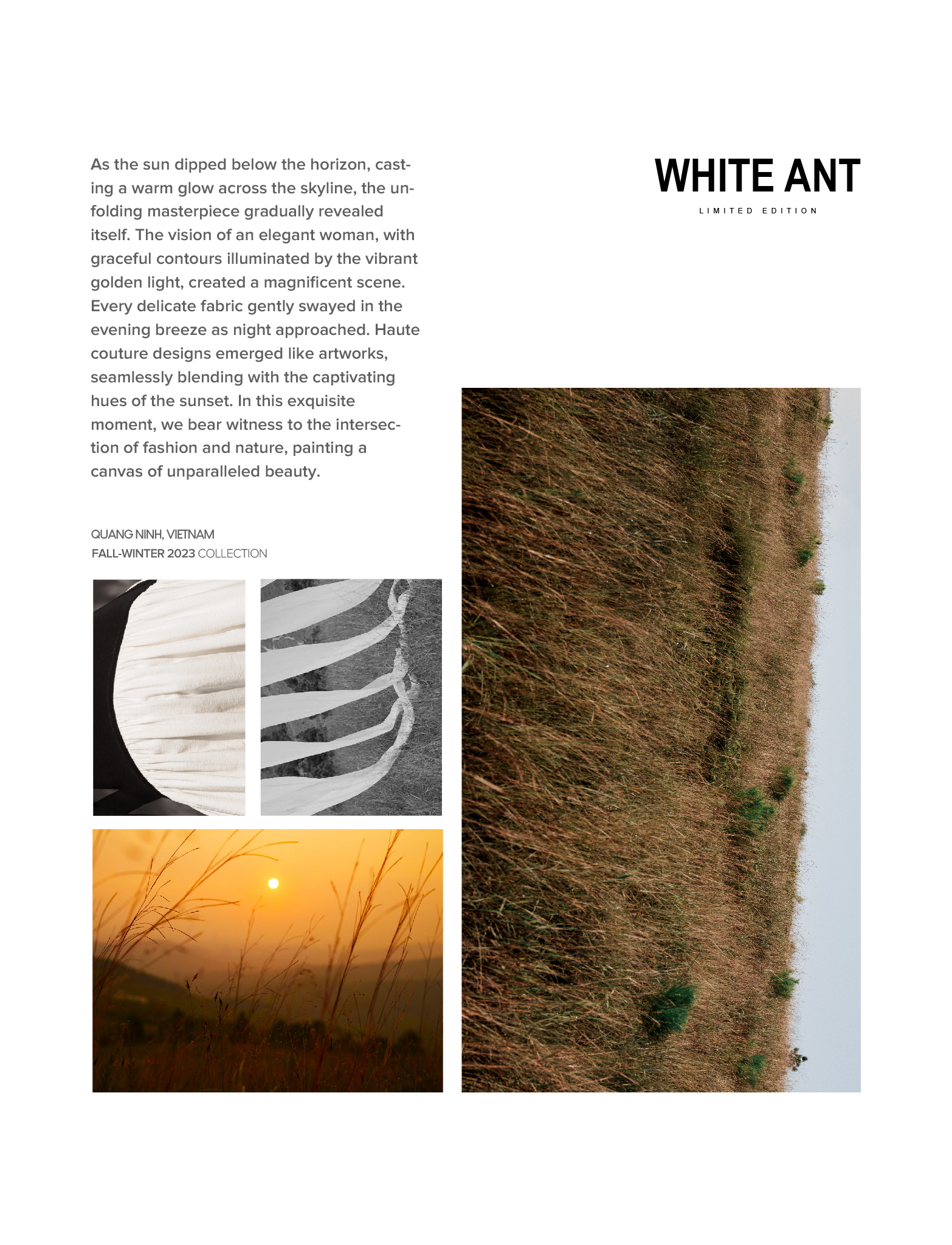 Fall-Winter Collection is coming ! – WHITE ANT