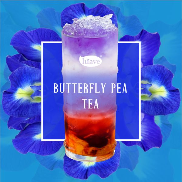 Công thức Butterfly Pea Tea – CHi Gourmet Store