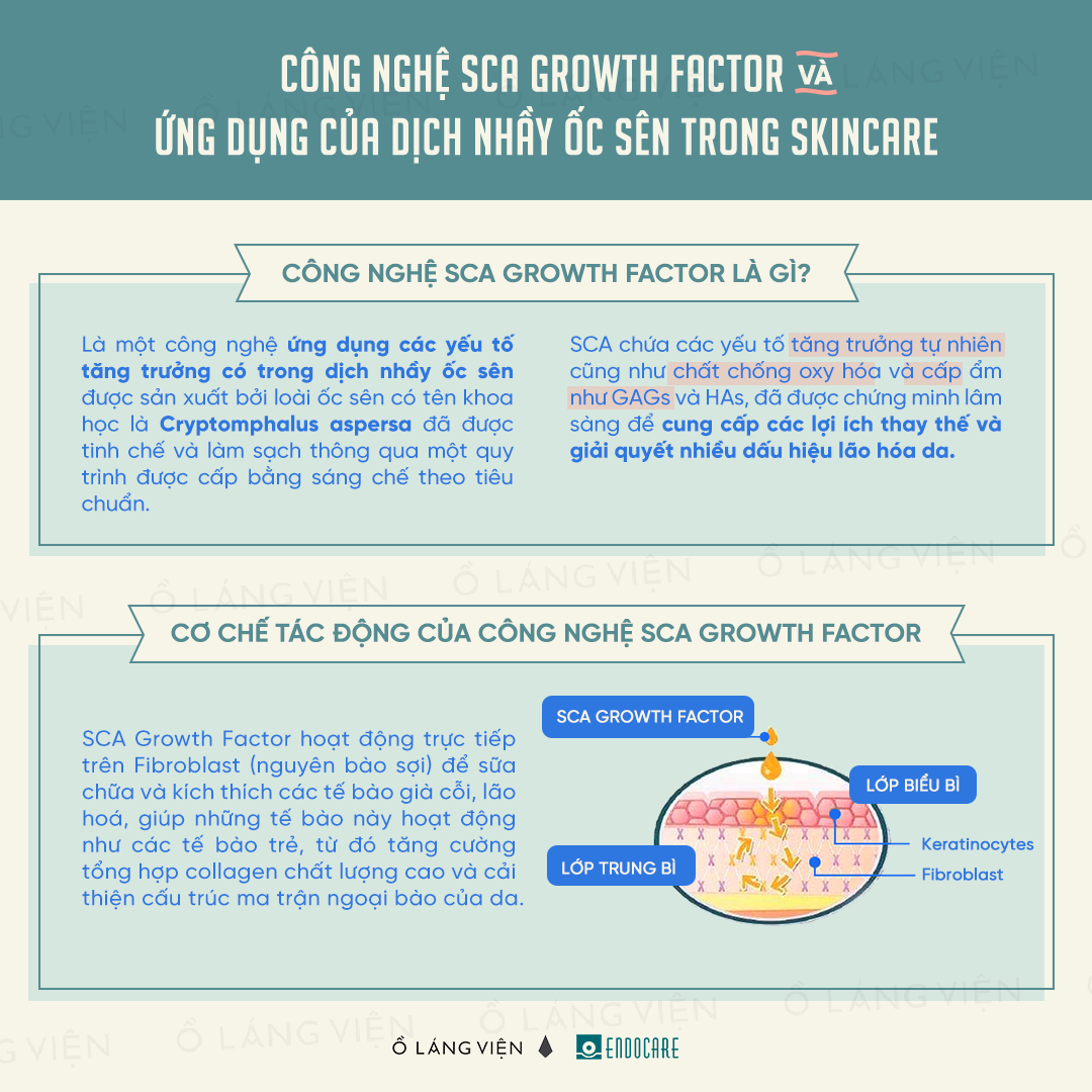 INGREDIENTS INSIDE | CÔNG NGHỆ SCA GROWTH FACTOR VÀ ỨNG DỤNG CỦA DỊCH ...