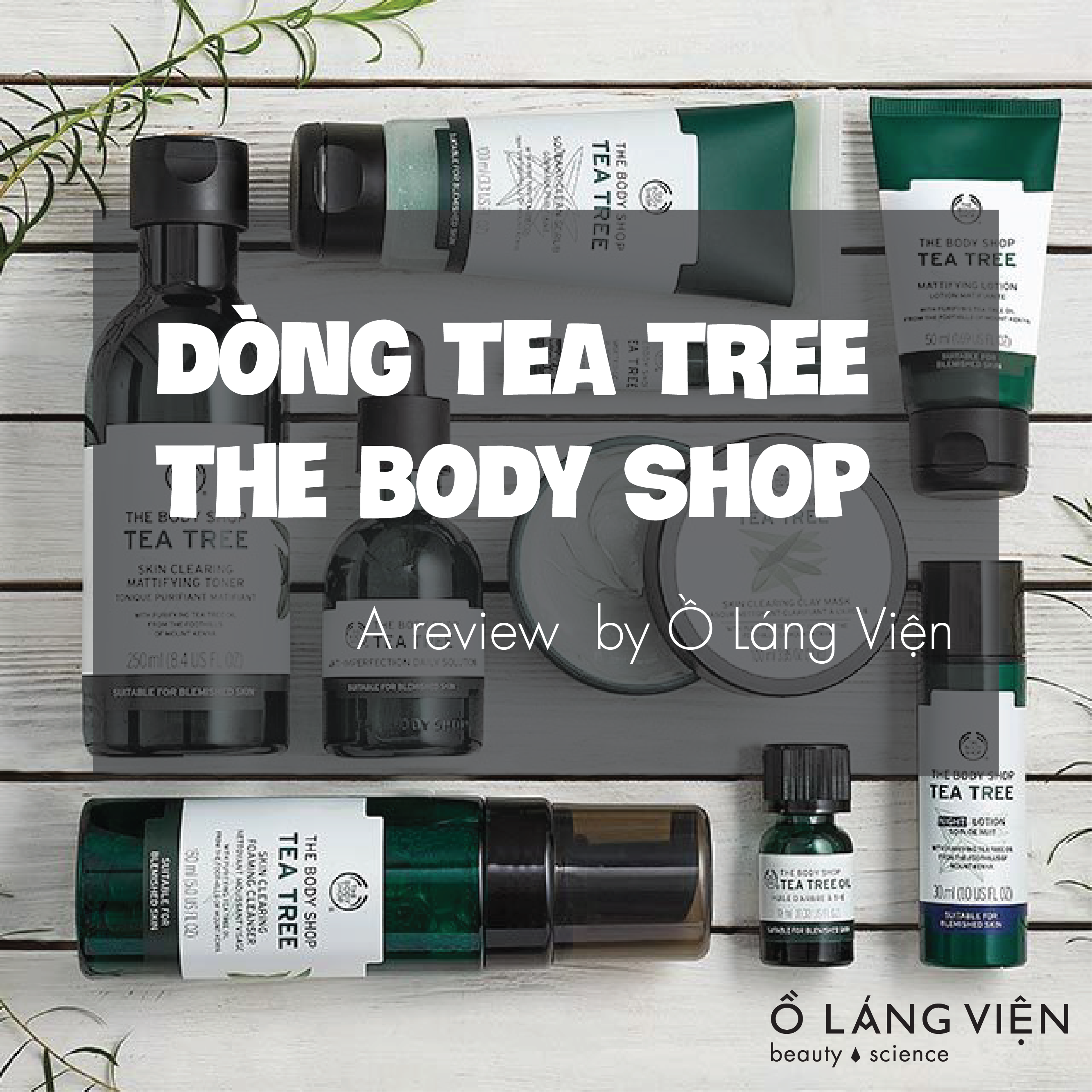 REVIEW | Dòng Tea Tree The Body Shop - Phần 1 – Ồ Láng Viện