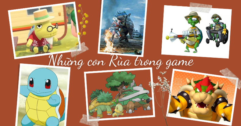 Những con Rùa trong game – nShop - Game & Hobby