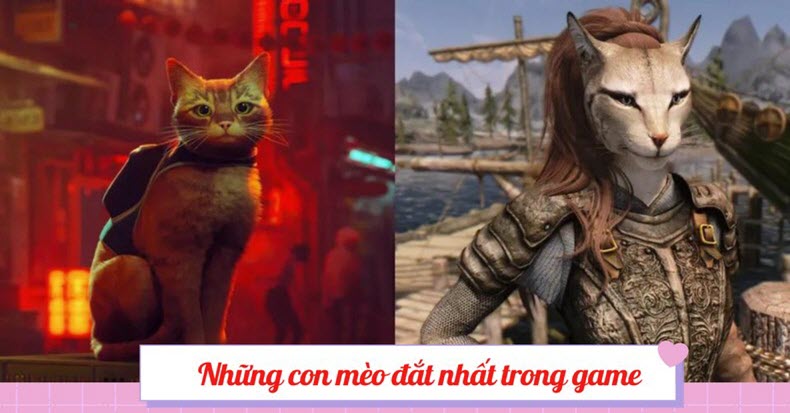 NHỮNG CON MÈO ĐẮT GIÁ NHẤT TRONG GAME – nShop - Game & Hobby