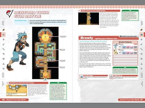 Pokémon Omega Ruby & Pokémon Alpha Sapphir Guide Book – nShop - Game ...
