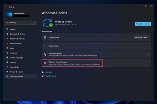 Cách chuyển sang kênh Beta trong Windows 11 Insider Preview