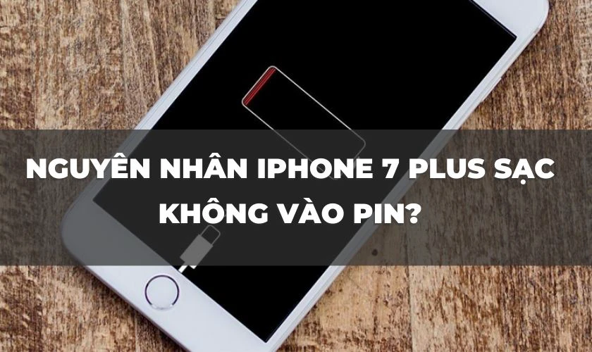 Nguyên nhân iPhone 7 Plus sạc không vào pin