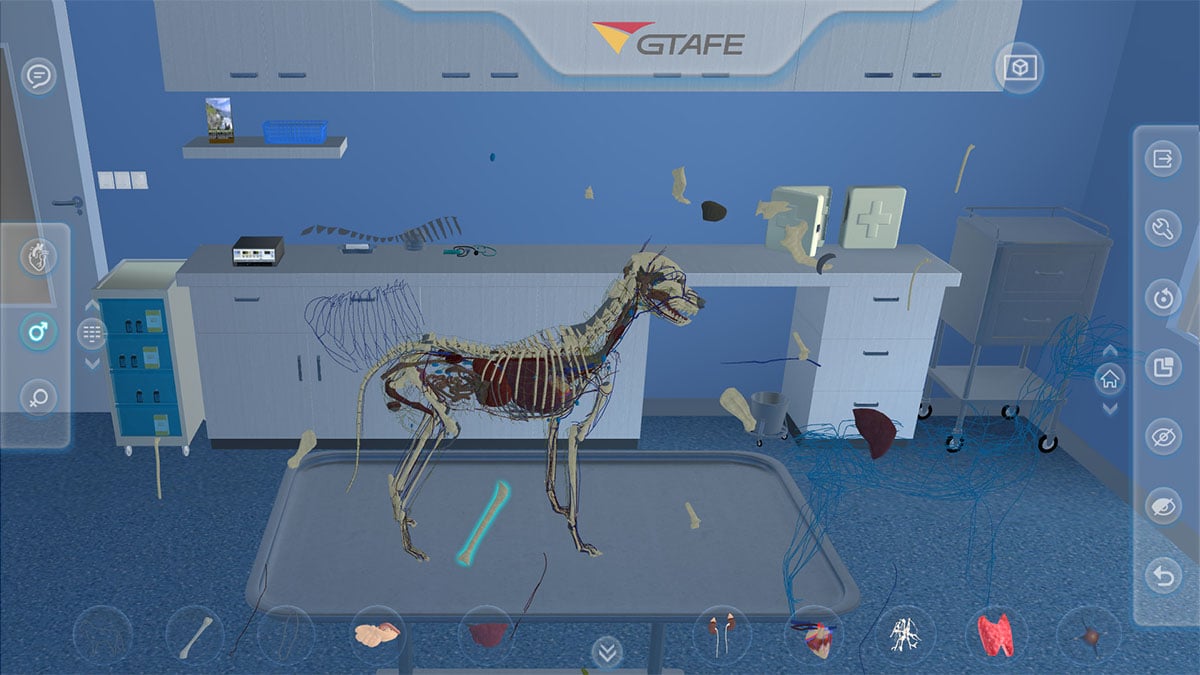 Canine Anatomy VR Training – Công nghệ mô phỏng thực tế ảo