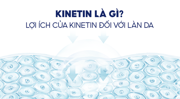KINETIN LÀ GÌ? LỢI ÍCH CỦA KINETIN VỚI LÀN DA
