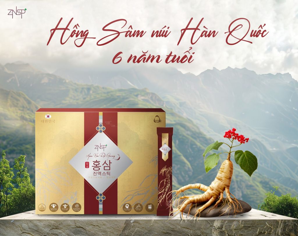 7 tác dụng của hồng sâm lên men đối với sức khoẻ – Z-TON VIỆT NAM | Đơn ...